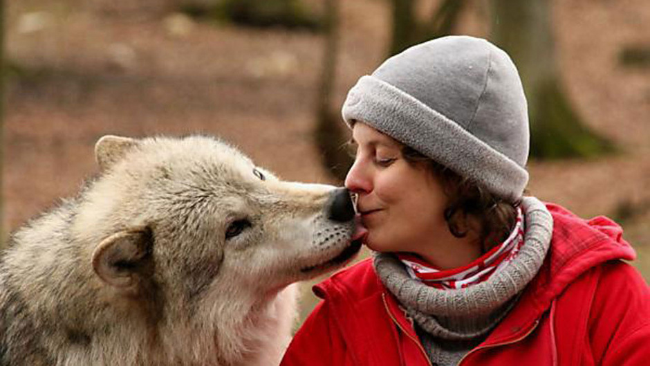 Mensch-Tier-Beziehung: Haustiere werden zu sehr vermenschlicht ...